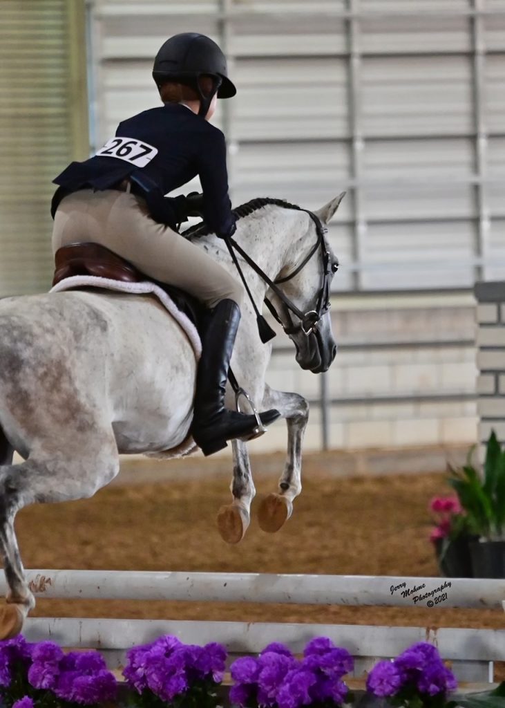 Horse Shows - Edgebrook Equestian Center